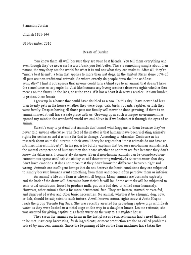 Animal Rights Argumentative Essay 1 | PDF | Zoo | Animal Testing