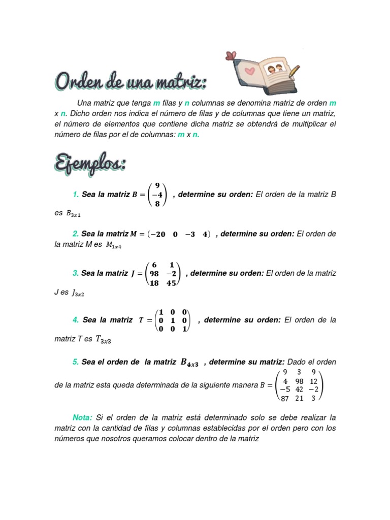 Orden de Una Matriz y Operaciones Básicas Entre Ellas | PDF | Matriz ...