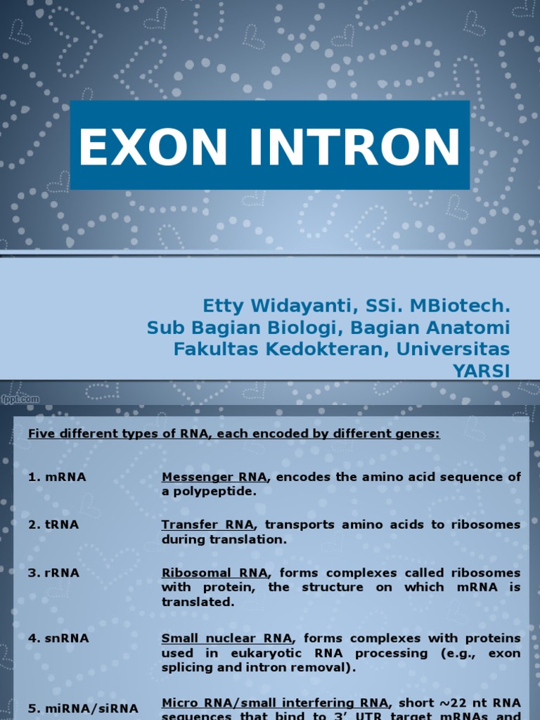 1.5 Presentasi Ekson Intron | PDF | Messenger Rna | Rna Splicing