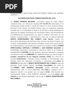 Instrucciones para llenar forma 33 SENIAT | PDF
