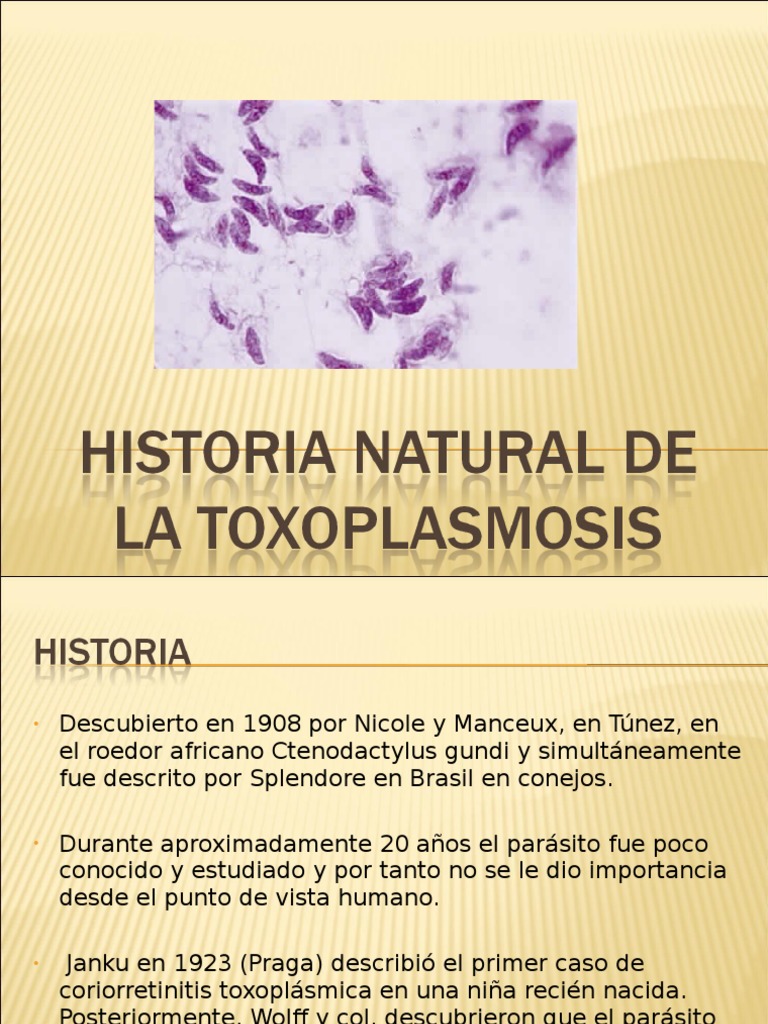 Historia Natural de La Toxoplasmosis 1 | Especialidades Medicas | Medicina CLINICA