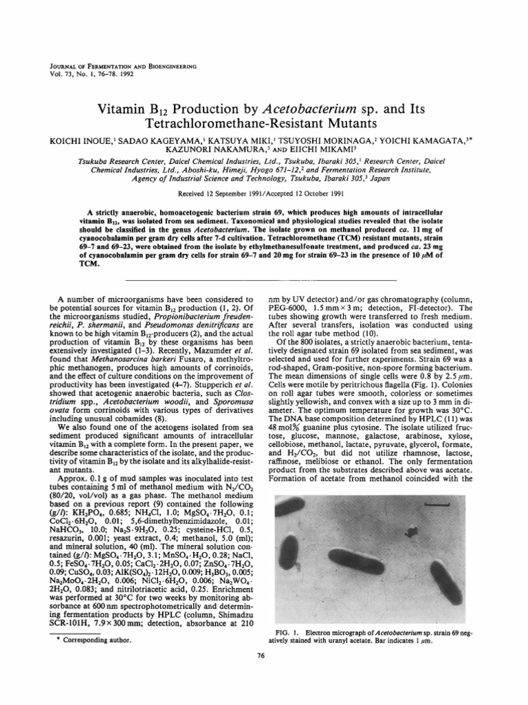 Vitamin B12 Production by Acetobacterium Sp | Bacteria | Methanol
