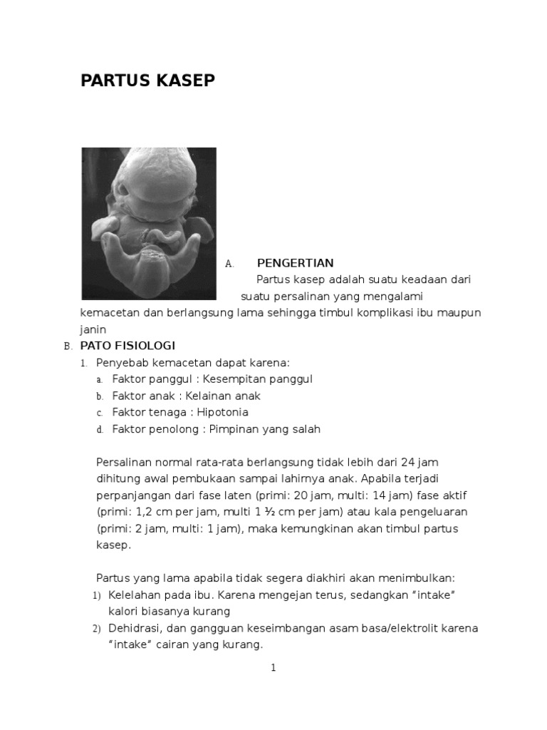 Partus Kasep | PDF
