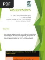 Vasopresores e Inotrópicos en UCI | PDF | Especialidades Medicas ...