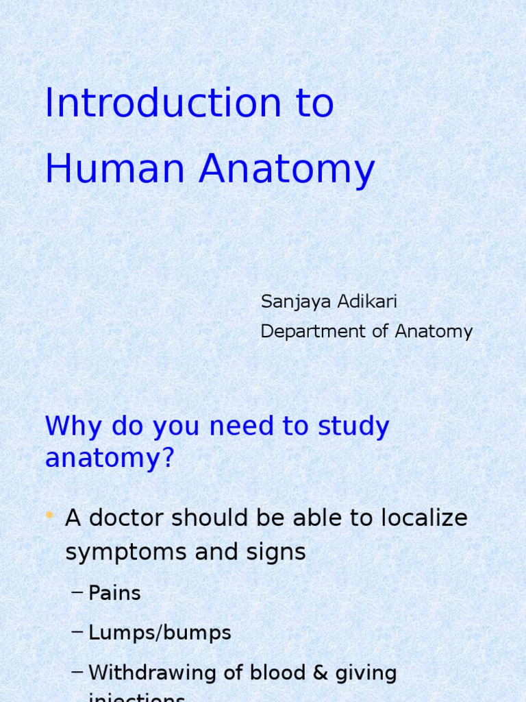 Introduction To Anatomy of Men | PDF