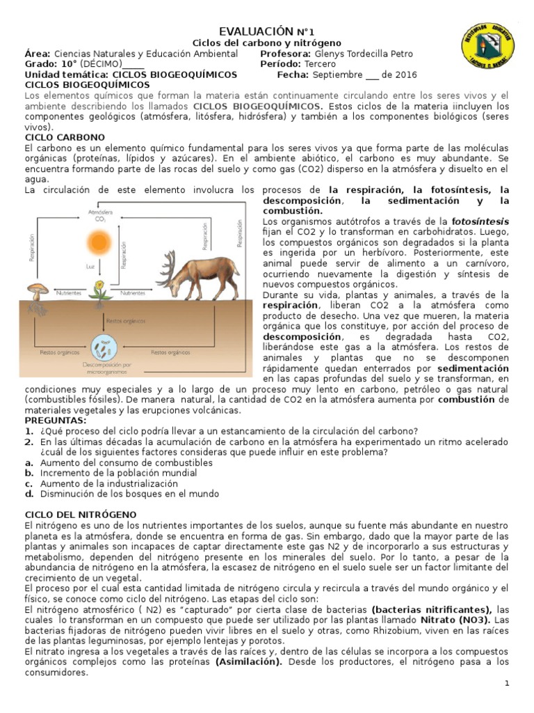 Hoja De Trabajo Sobre El Ciclo Del Agua, El Carbono Y El Nitrógeno 22