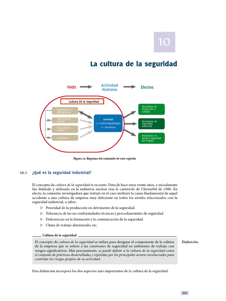 Capítulo 10 Factores Humanos y Organizacionales en Seguridad | PDF | Minería | Liderazgo