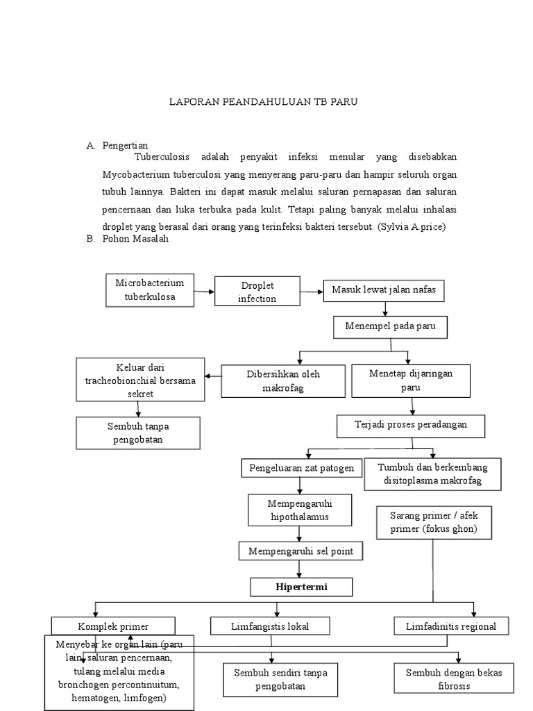 Laporan Awal Tuberkulosis Paru | PDF | Pengembangan Diri | Kesehatan ...