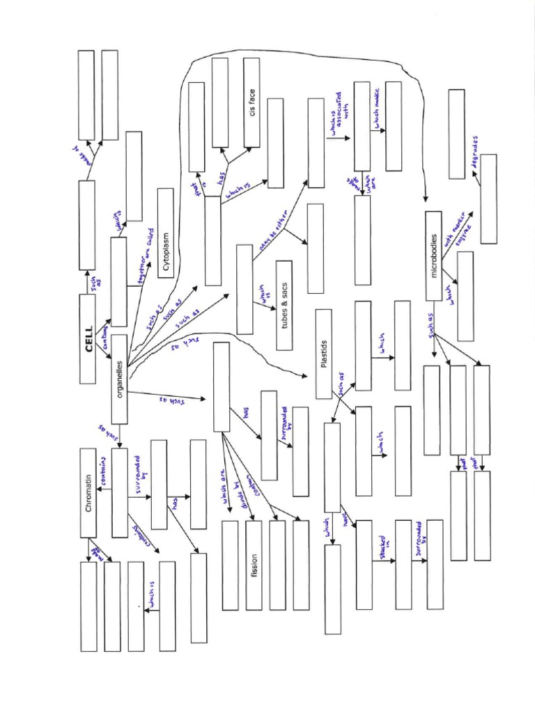 Cell Concept Map | PDF