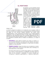 Peritoneo y Cavidad Peritonial | PDF | Peritoneo | Abdomen