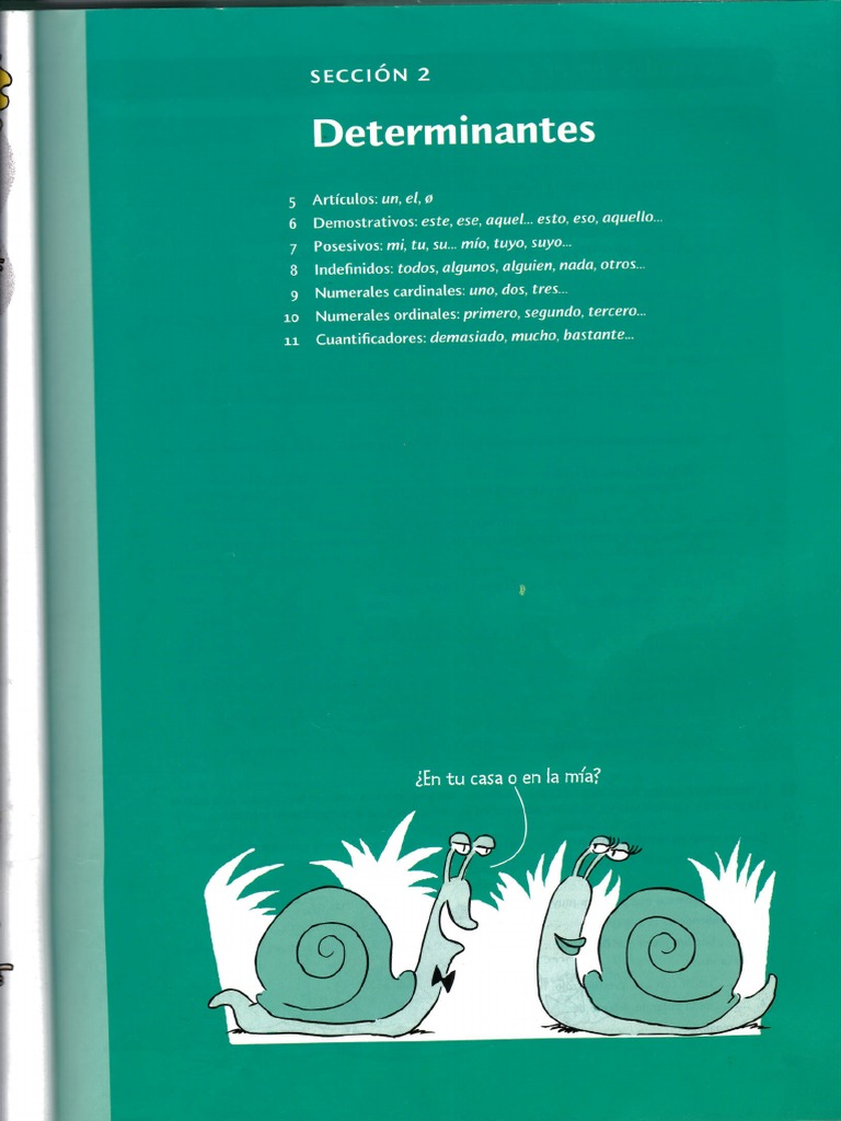 Gramatica Basica Del Estudiante de Espanol 2 | PDF