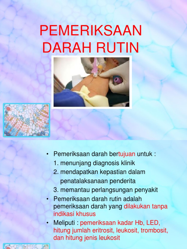 PEMERIKSAAN DARAH RUTIN.pdf