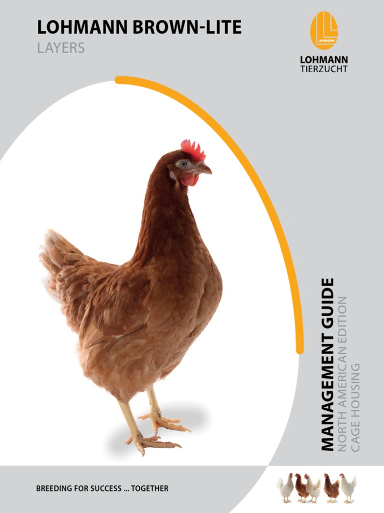 Lohmann Brown-Lite: Layers | PDF