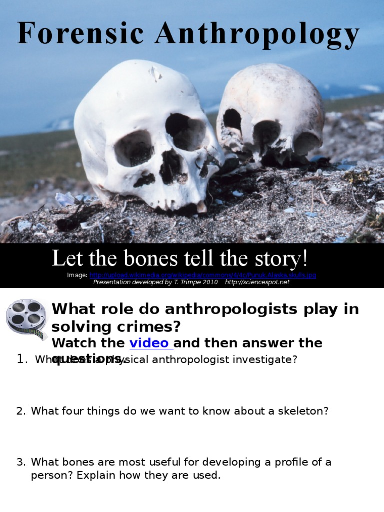 Forensic Anthropology Intro Notes 1 | PDF | Musculoskeletal System ...