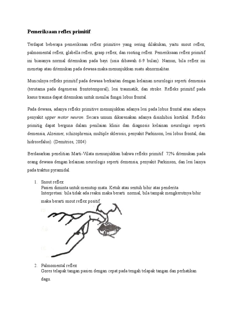 Pemeriksaan Reflex Primitif | PDF