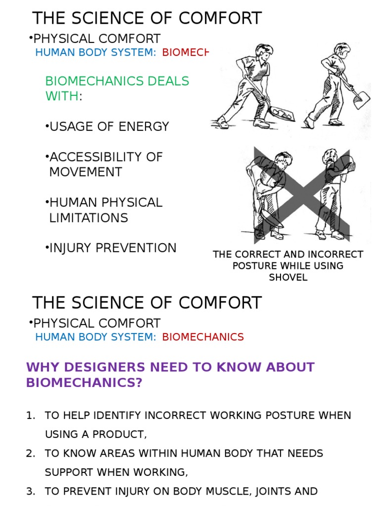 Physical Comfort: Biomechanics Deals With | PDF | Flexibility (Anatomy ...