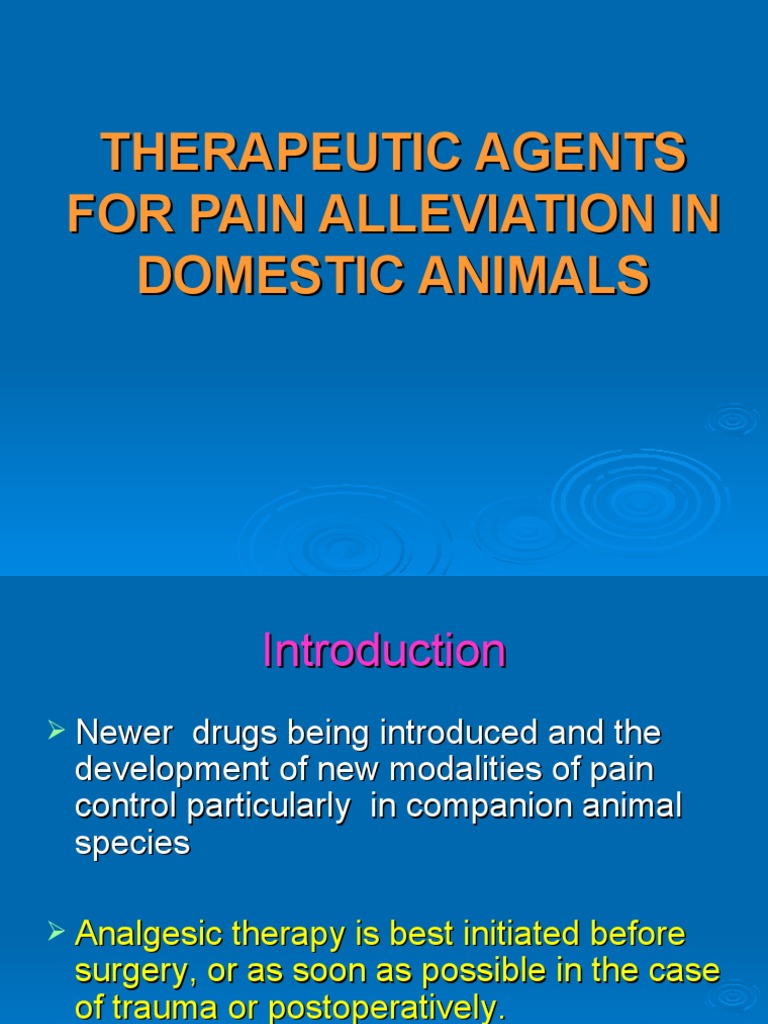 Pain Management in Animals | PDF | Analgesic | Nonsteroidal Anti ...
