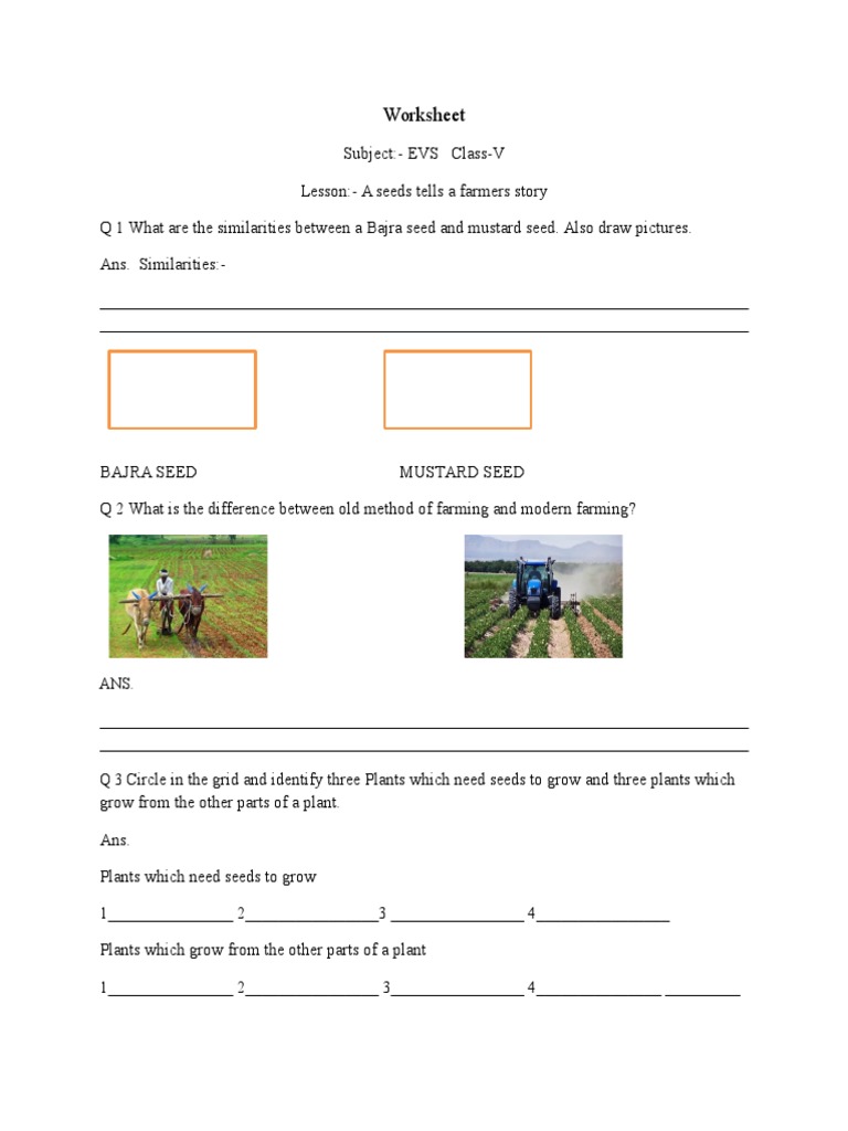 Class 5 EVS: A Seed's Story Worksheet | PDF