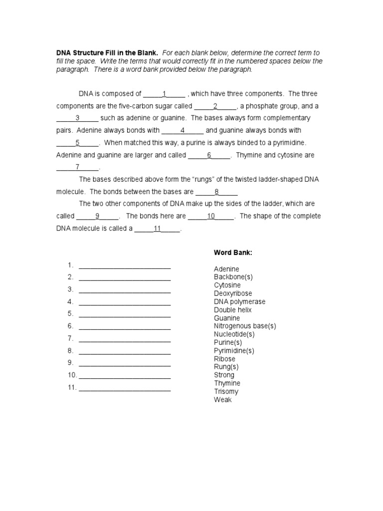 Dna Fill in The Blank | Download Free PDF | Nucleotides | Dna