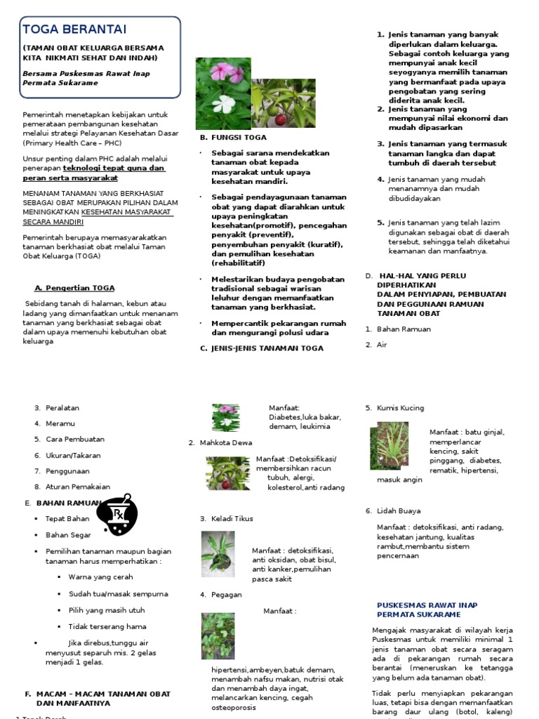 Leaflet Toga Berantai PKM | PDF