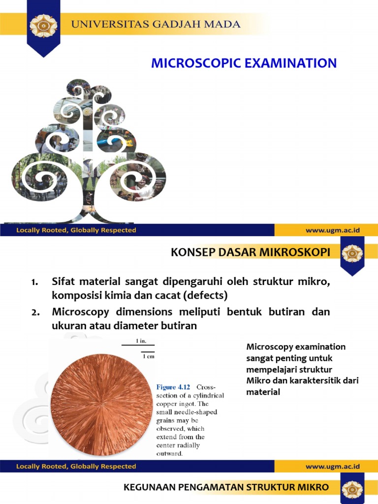 Nope | PDF | Electron Microscope | Scanning Electron Microscope