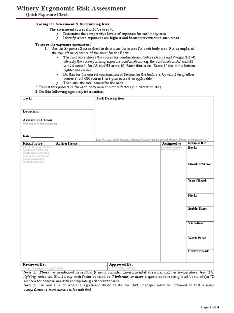 SAMPLE Ergonomic Risk Assessment | PDF | Risk | Nature