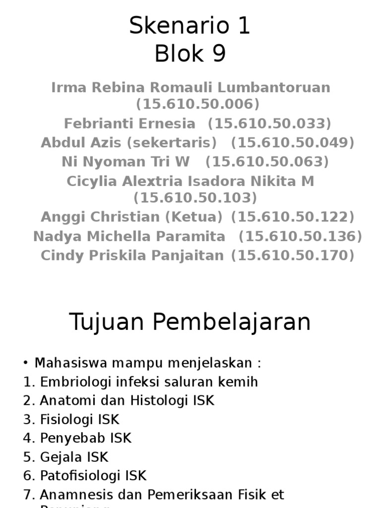 Anatomi Dan Histologi Saluran Kemih | PDF