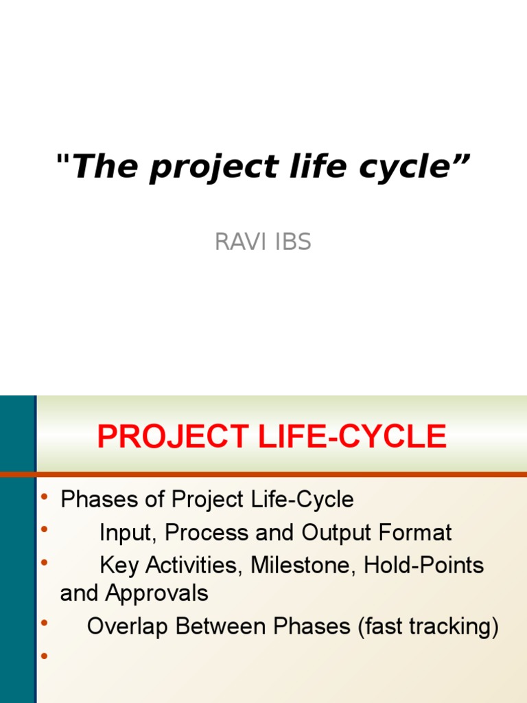 The Project Life Cycle | PDF | Project Management | Business
