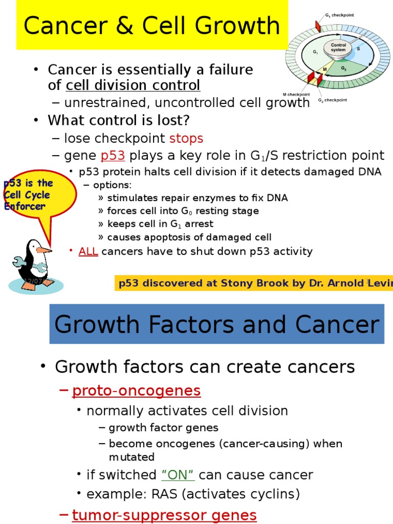 Cancer & Cell Growth | PDF | Neoplasms | Cell Growth
