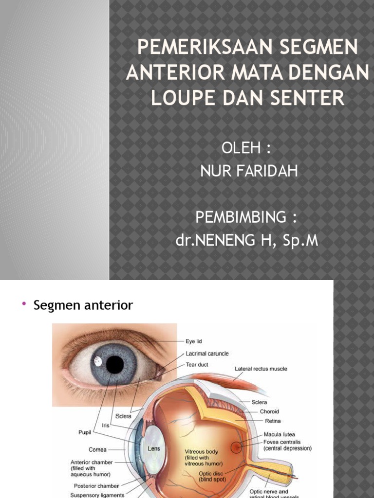 Pemeriksaan Segmen Anterior Mata | PDF | Sains & Matematika
