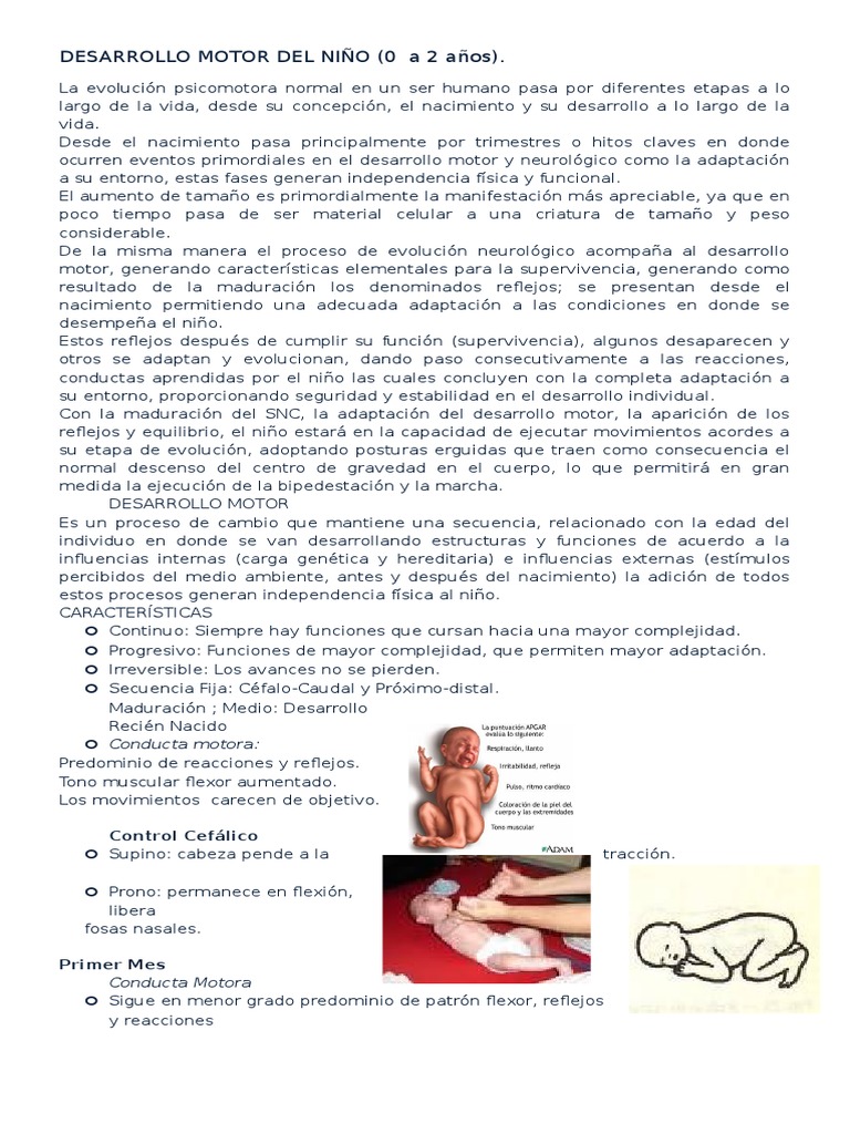 [DESARROLLO Y HITOS MOTOR EN LOS PRIMEROS AÑOS] | PDF | Pelvis | Evolución