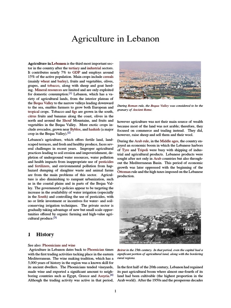 Agriculture in Lebanon | PDF | Food And Drink | Agriculture