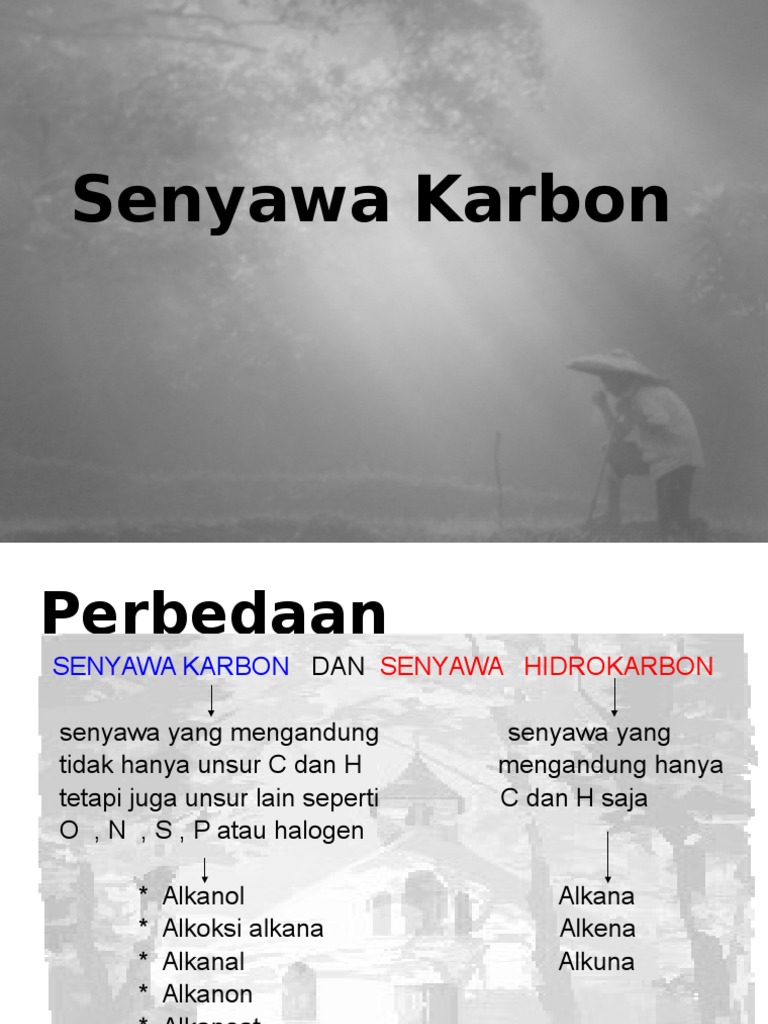 Senyawa Karbon dan Hidrokarbon: Jenis dan Contoh | PDF