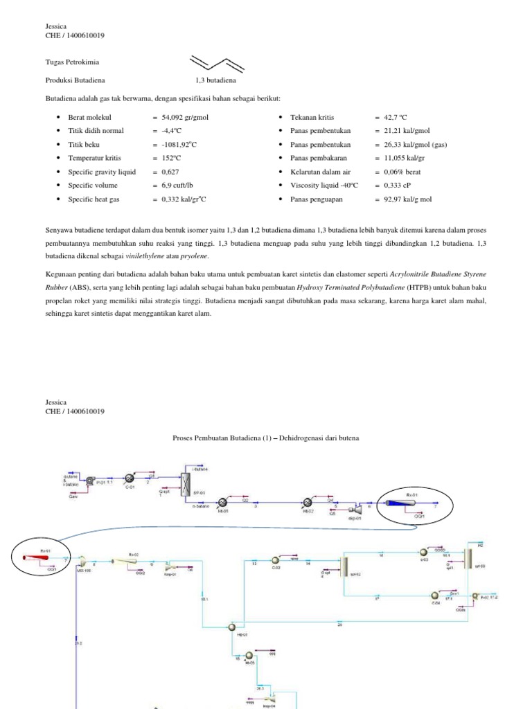 Proses Produksi 1,3 Butadiena | PDF
