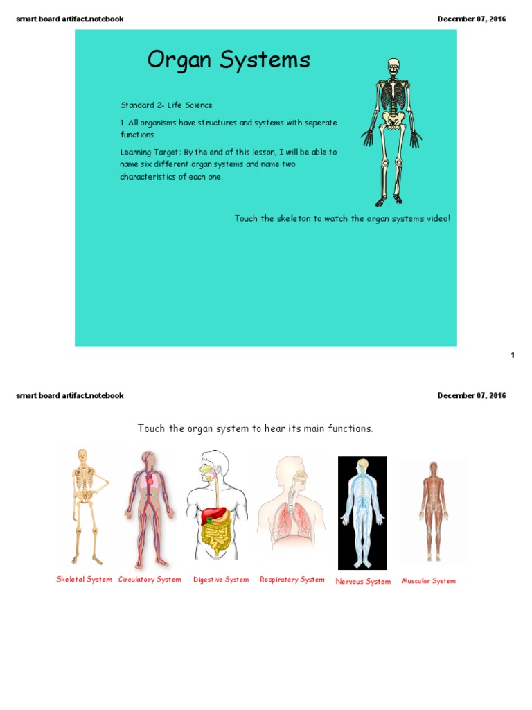 Organ Systems Overview for Students | PDF | Wellness