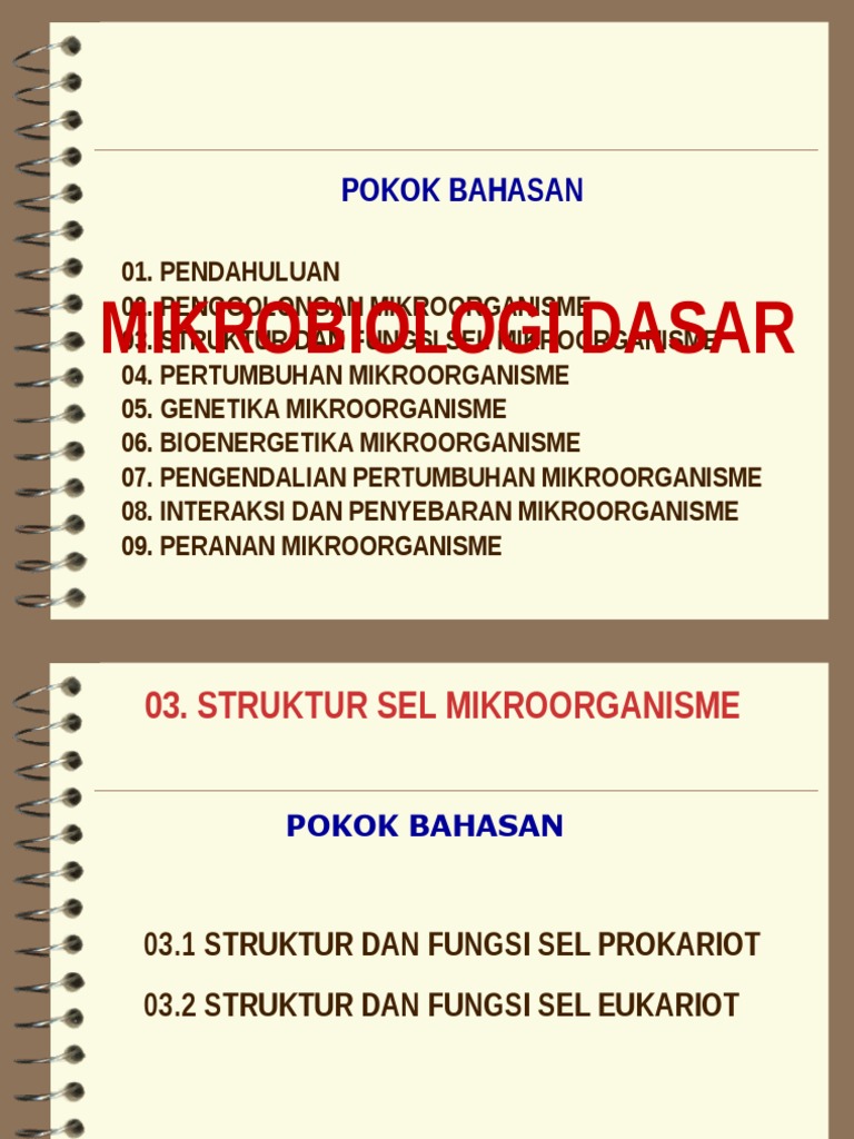 03 1 Struktur Dan Fungsi Sel Prokariot 1 | PDF