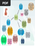 Ángulo de Louis | PDF | Tórax | Anatomía humana