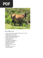 Jenis-Jenis Sapi di Indonesia | PDF