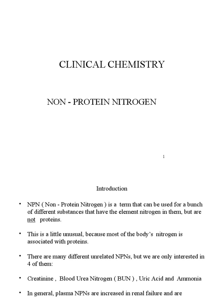Chem Lect Unit 7 Kidney Function | PDF | Renal Function | Creatinine Chem Lect Unit 7 Kidney Function | PDF | Renal Function | Creatinine