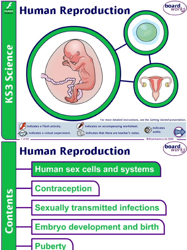 Qn Human Reproduction