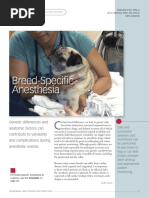 Veterinary ASA Classification Guide | PDF | Heart | Shock (Circulatory)