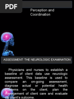 Tetras Scale | PDF | Wellness