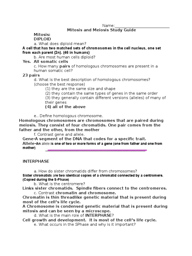 Mitosis and Meiosis Study Guide KEY | PDF | Meiosis | Mitosis