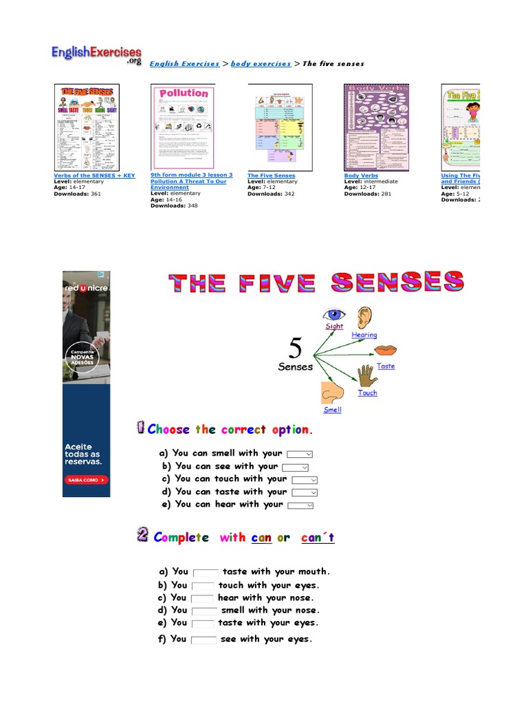 English Exercises - The Five Senses | PDF