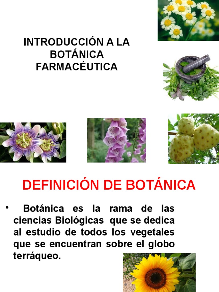 Introducción a la Botánica Farmacéutica | PDF | Botánica | Plantas