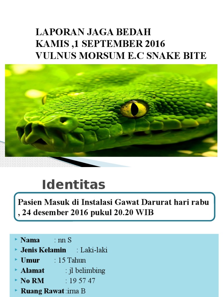 Lapja 1 September Vulnus Morsum Snake Bite | PDF
