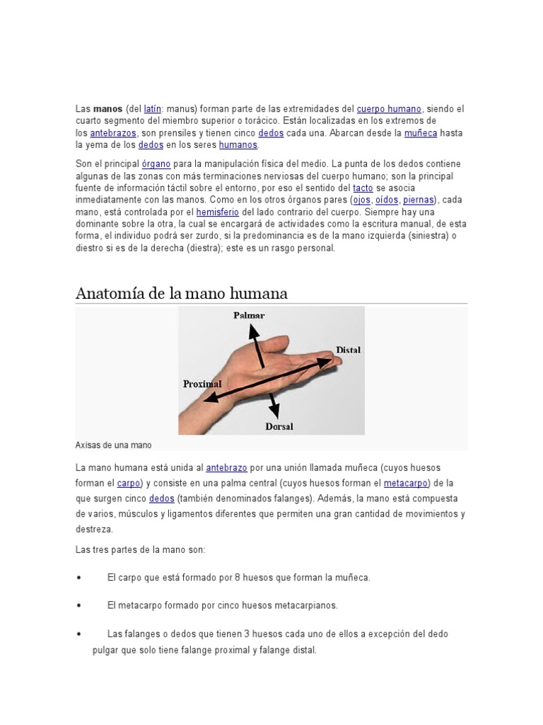 Anatomia II | PDF | Mano | Brazo