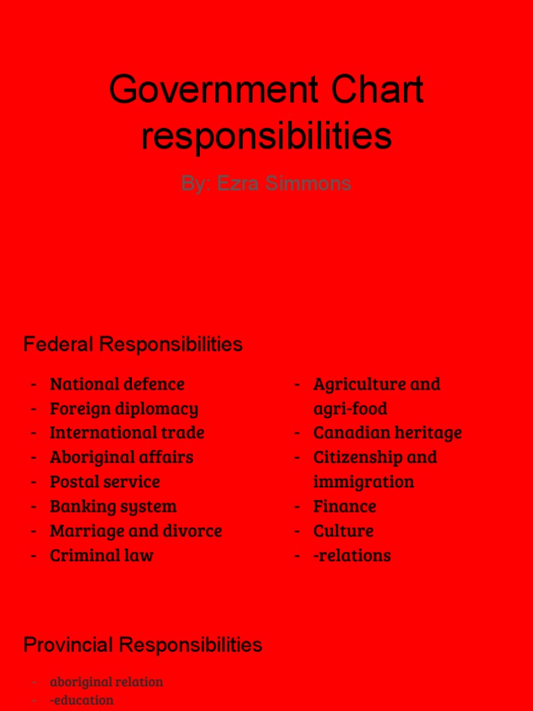 Government Chart Responsibilities | PDF