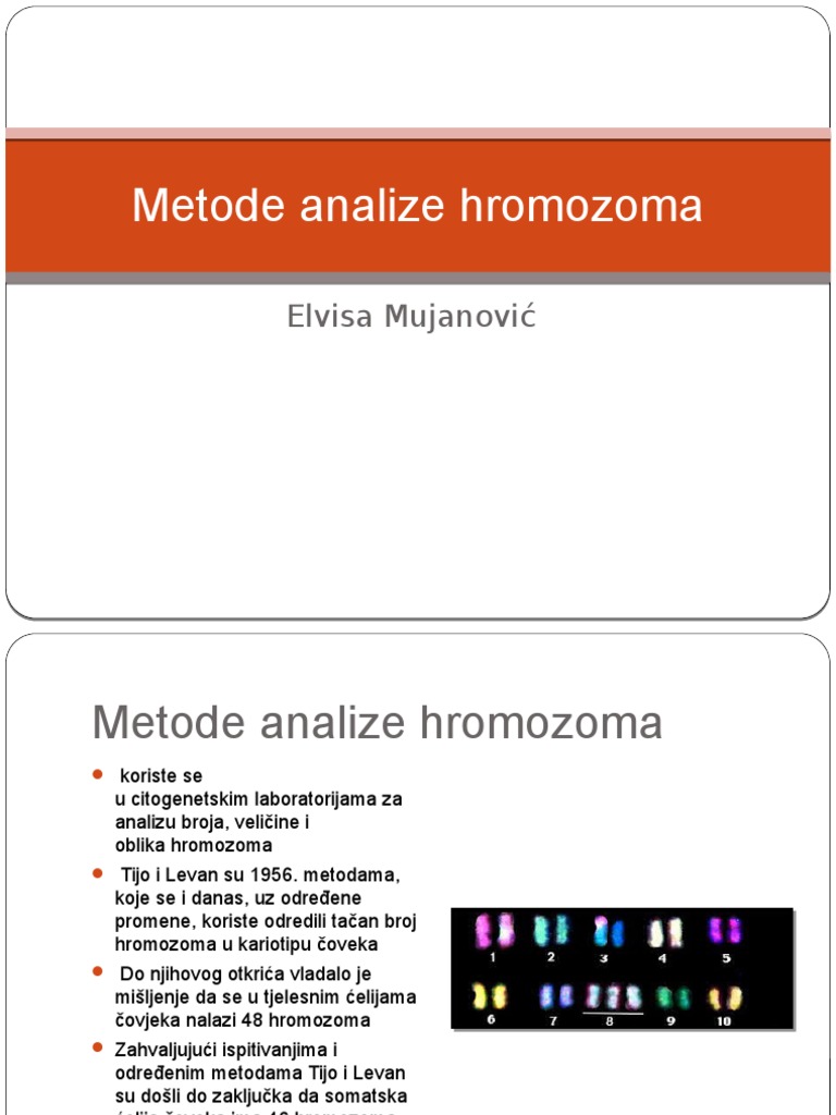 Metode Analize Hromozoma | PDF