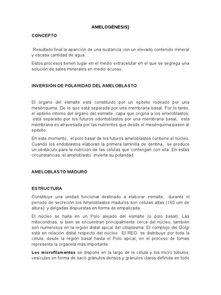 Ciclo Vital y Estructura de Ameloblastos | PDF | Esmalte de dientes ...